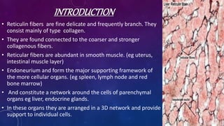 Reticulin Fibers | PPTX