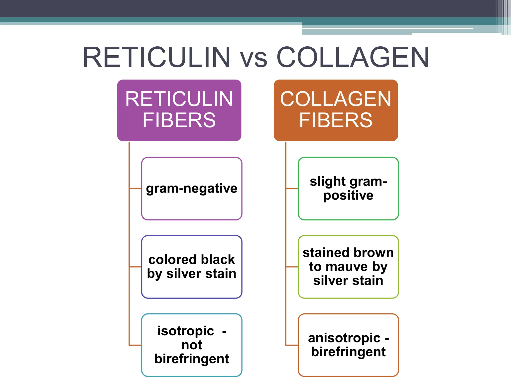 RETICULIN STAIN SEMINAR 24.5.pptx