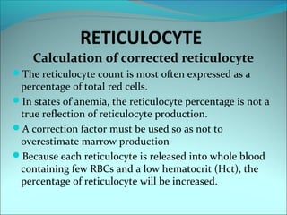 Reticulocyte count | PPT