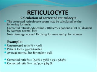 Reticulocyte count | PPT