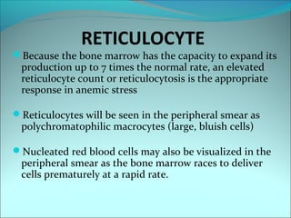 Reticulocyte count | PPT