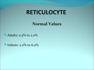 Reticulocyte count | PPT