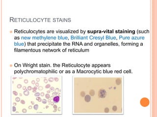 Reticulocyte count | PPTX