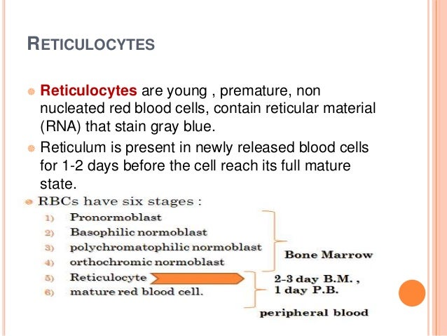 Reticulocyte count