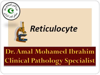 Reticulocytes | PPT