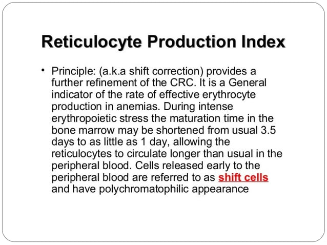 Reticulocytes | PPT
