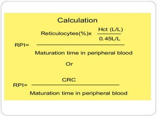 Reticulocytes | PPT