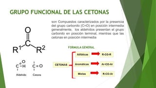 RETICULO ENDOPLASMATICO LISO.pptx