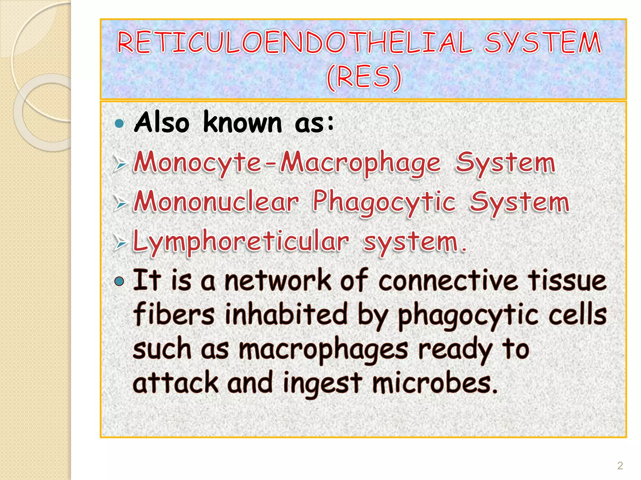 Reticuloendothelial system | PDF