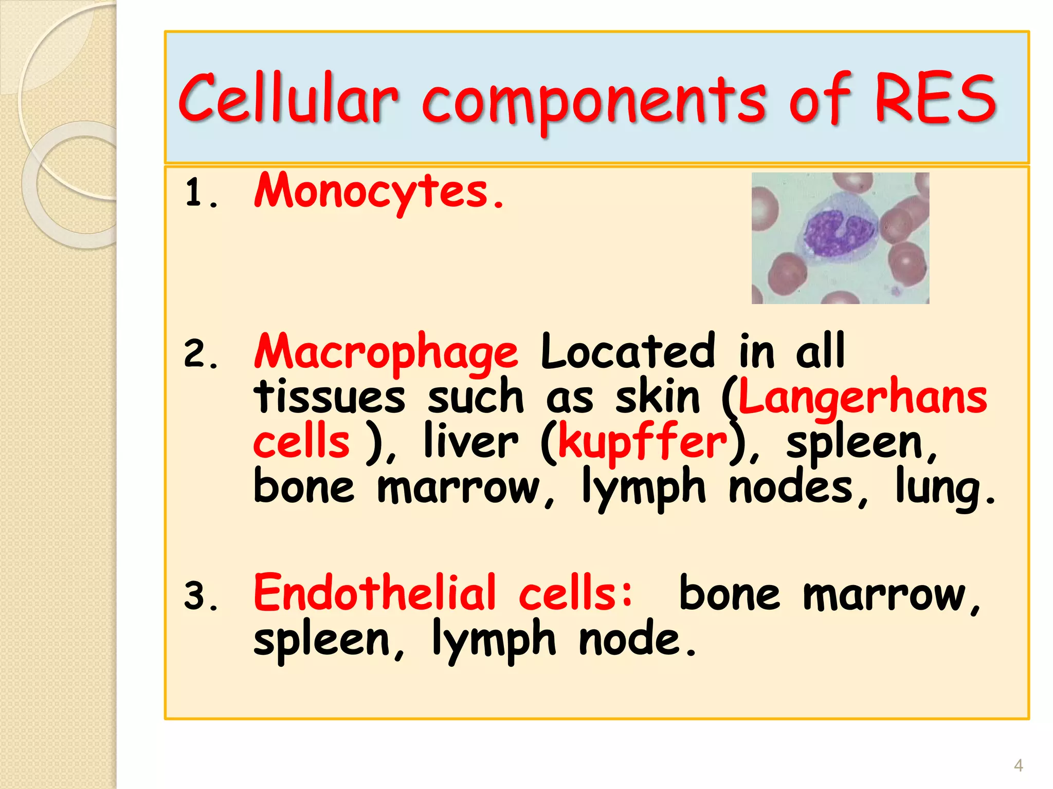 Reticuloendothelial system | PDF