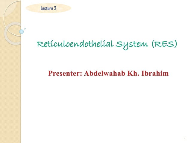 Reticuloendothelial system | PDF