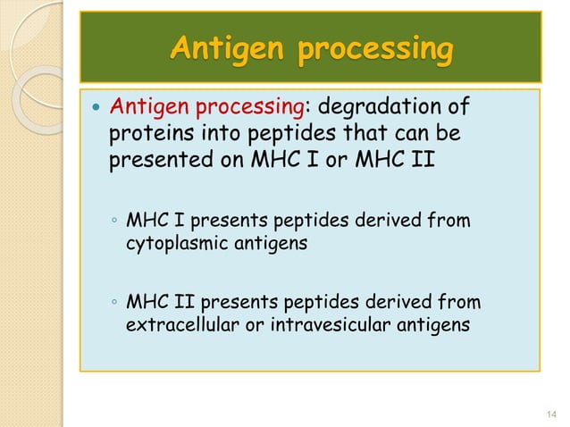 Reticuloendothelial system | PDF