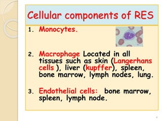 Reticuloendothelial system | PDF