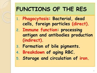 Reticuloendothelial system | PDF