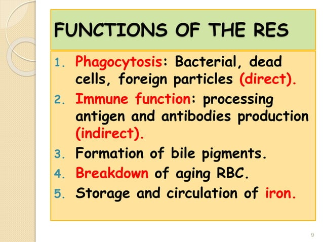 Reticuloendothelial system | PDF