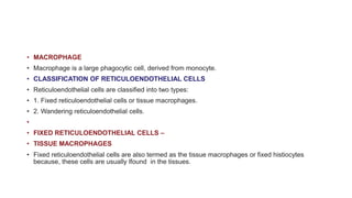 Reticuloendothelial System and Tissue Macrophage.pptx