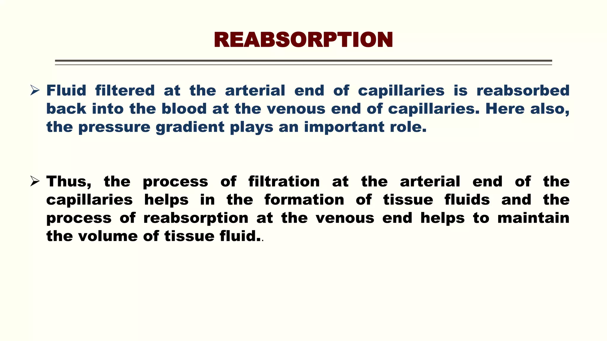 Reticuloendothelial System Tissue Macrophages Lymphatic System Pptx