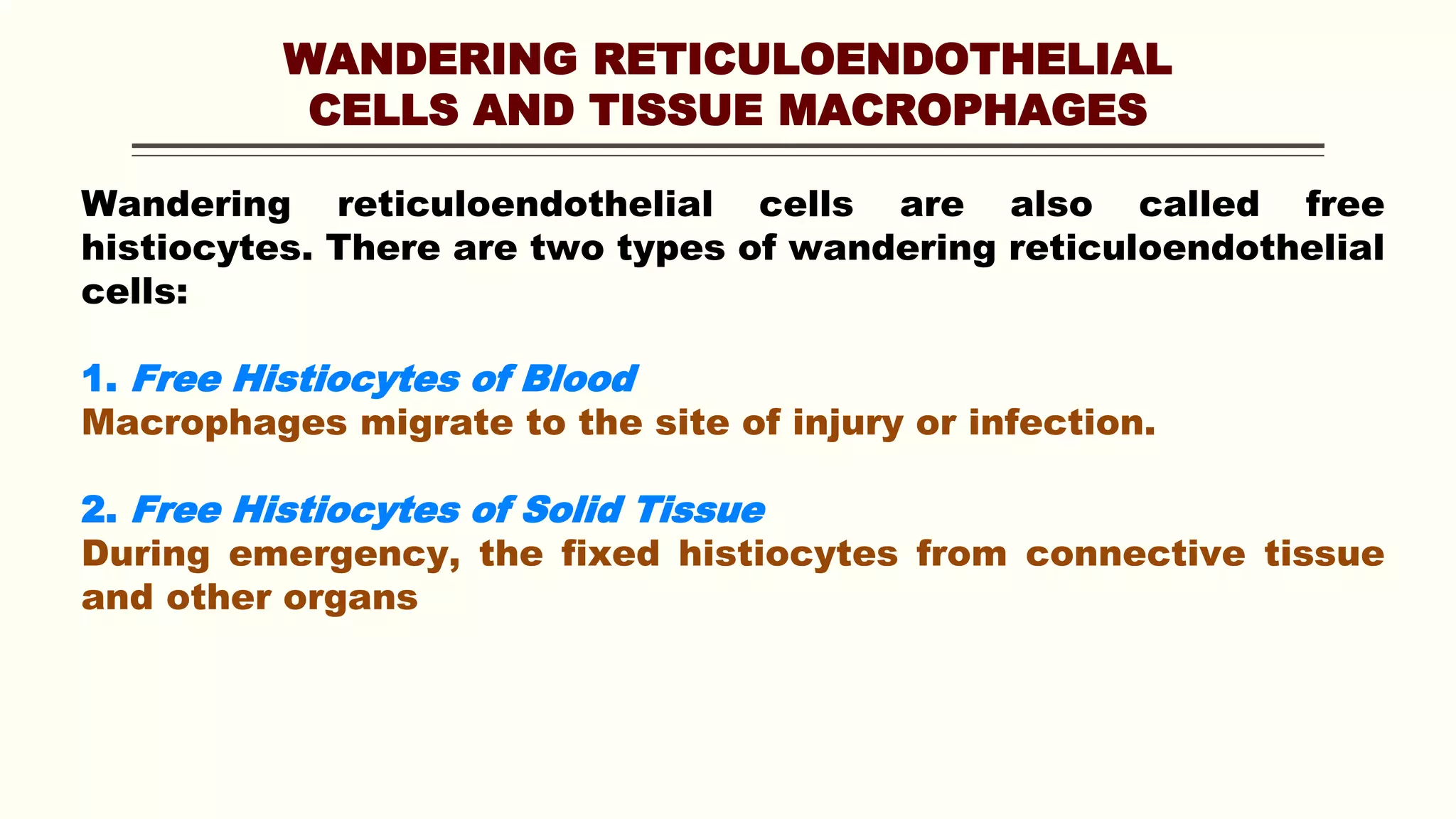 Reticuloendothelial System, Tissue Macrophages, Lymphatic System.pptx