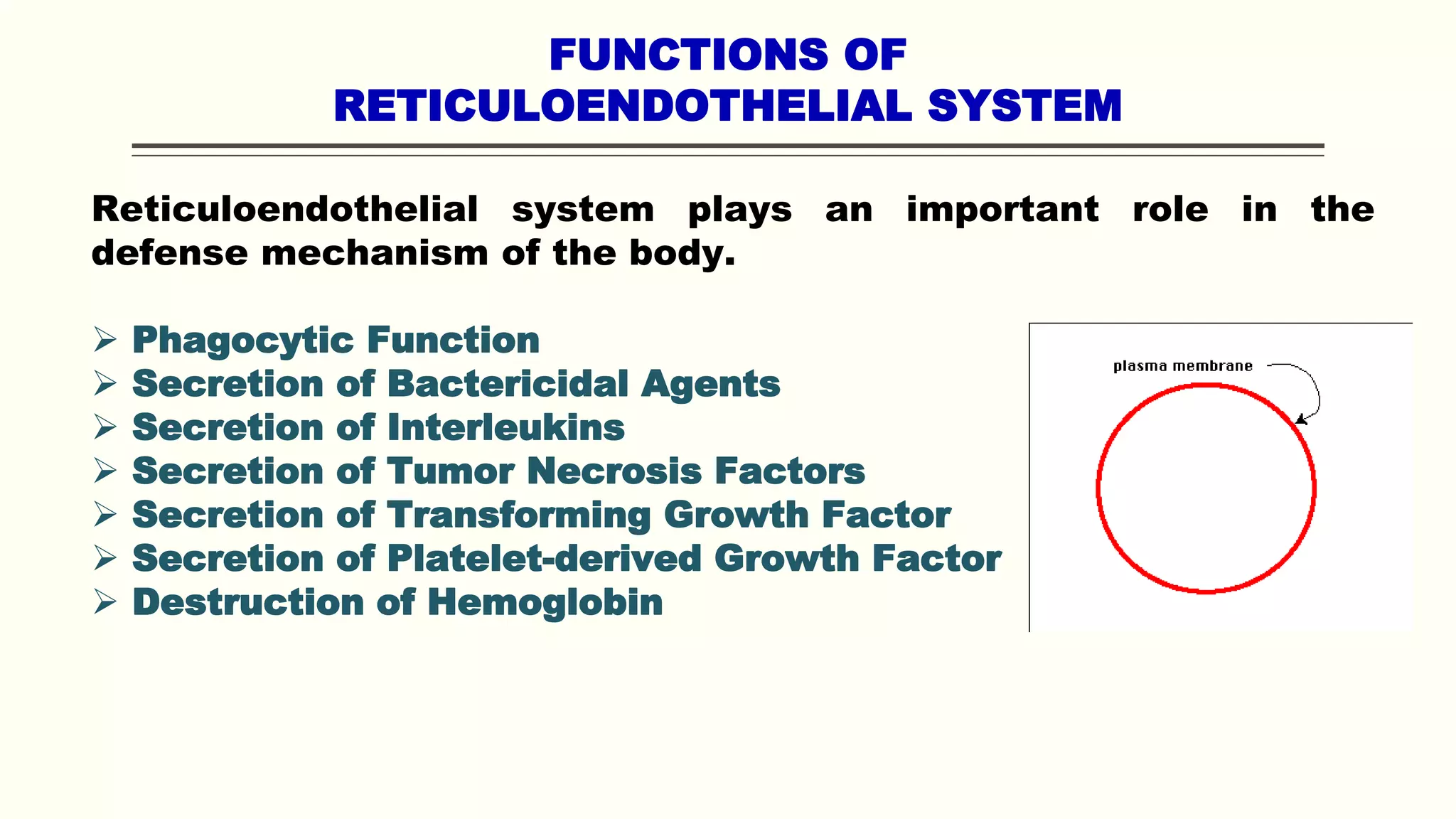 Reticuloendothelial System, Tissue Macrophages, Lymphatic System.pptx