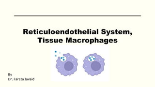 Reticuloendothelial System, Tissue Macrophages, Lymphatic System.pptx