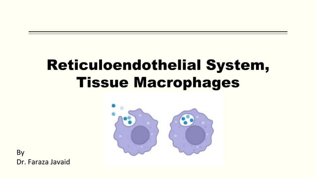 Reticuloendothelial System, Tissue Macrophages, Lymphatic System.pptx