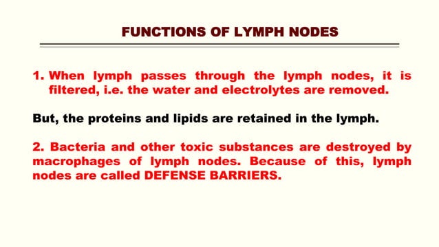 Reticuloendothelial System Tissue Macrophages Lymphatic System Pptx