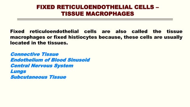 Reticuloendothelial System, Tissue Macrophages, Lymphatic System.pptx ...
