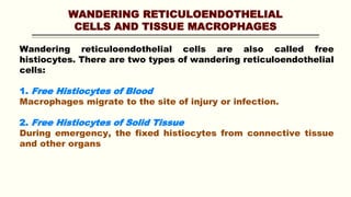 Reticuloendothelial System, Tissue Macrophages, Lymphatic System.pptx