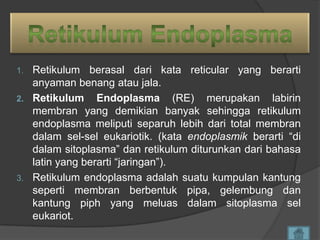 Retikulum endoplasma | PPTX