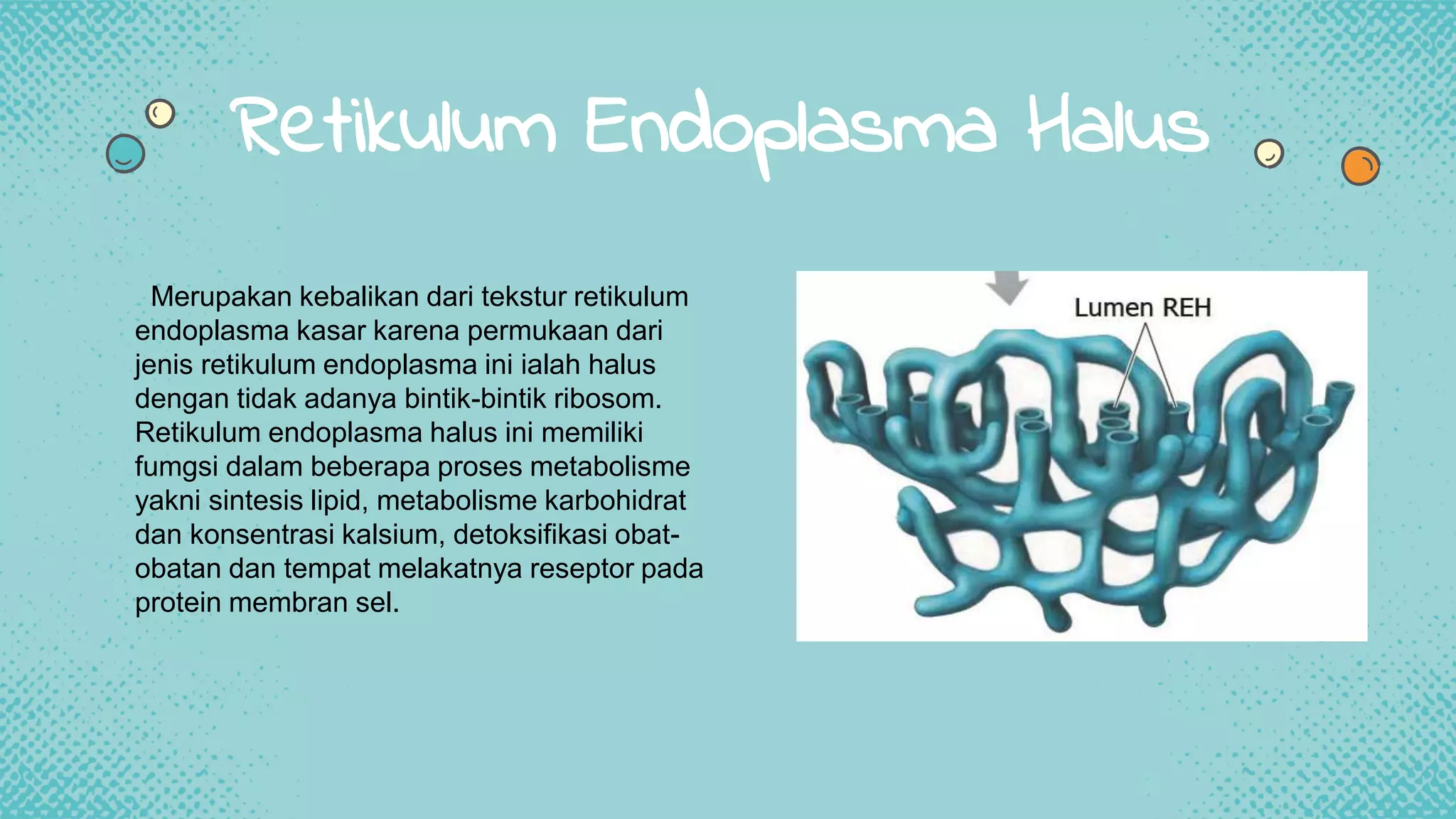Retikulum endoplasma kelompok6 | PPTX
