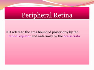 Retina 3rd mbbs ophthalmology | PPTX