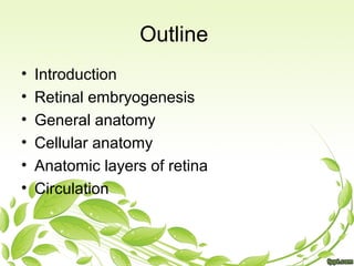 Retina | PPT