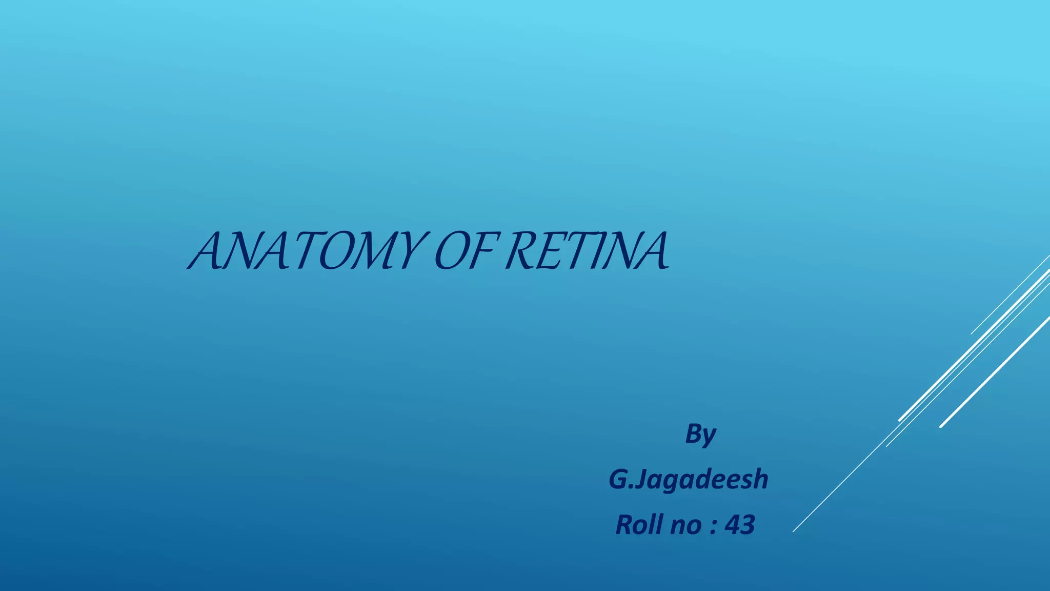 Anatomy of Retina | PPTX