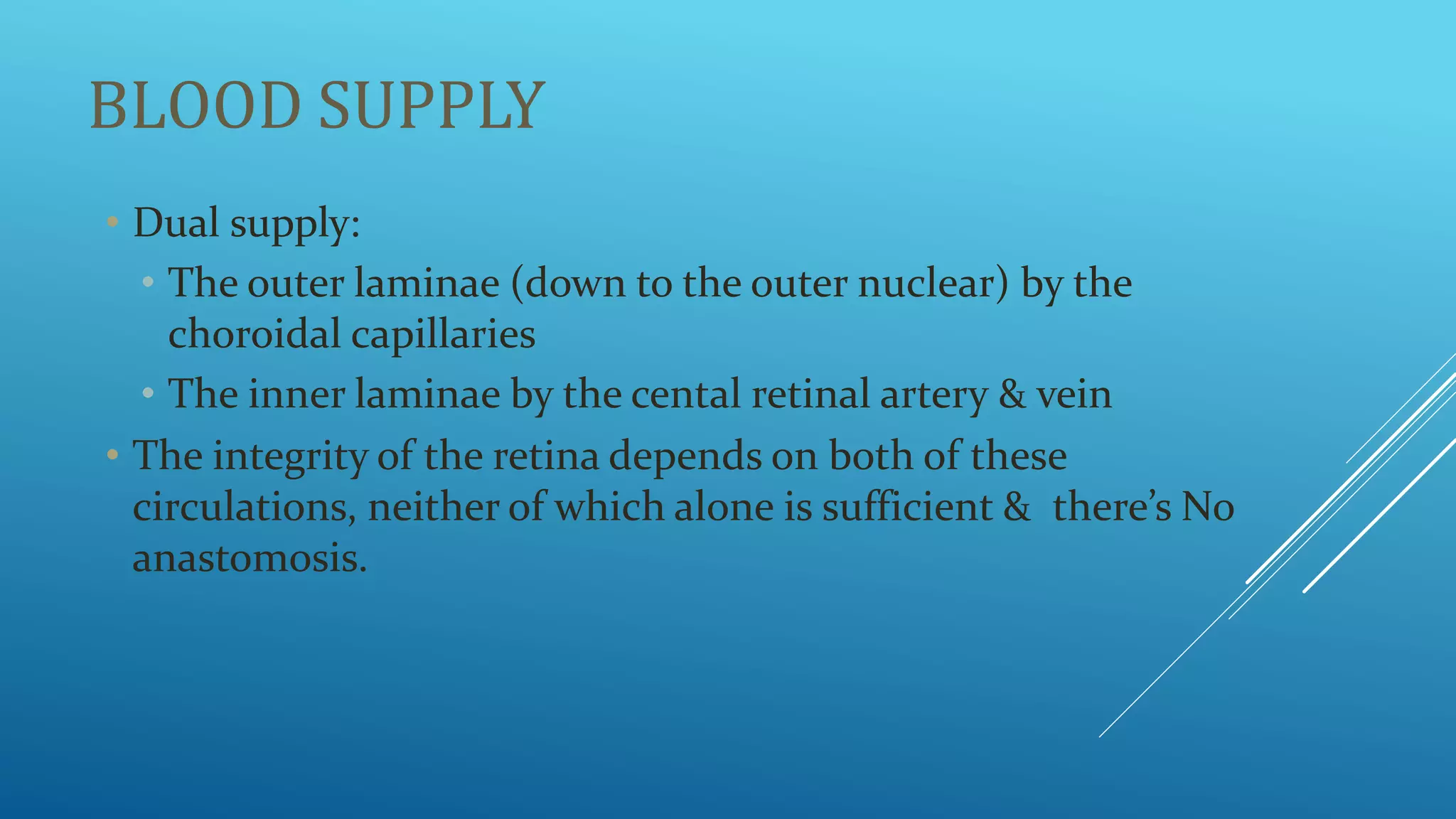 Anatomy of Retina | PPTX
