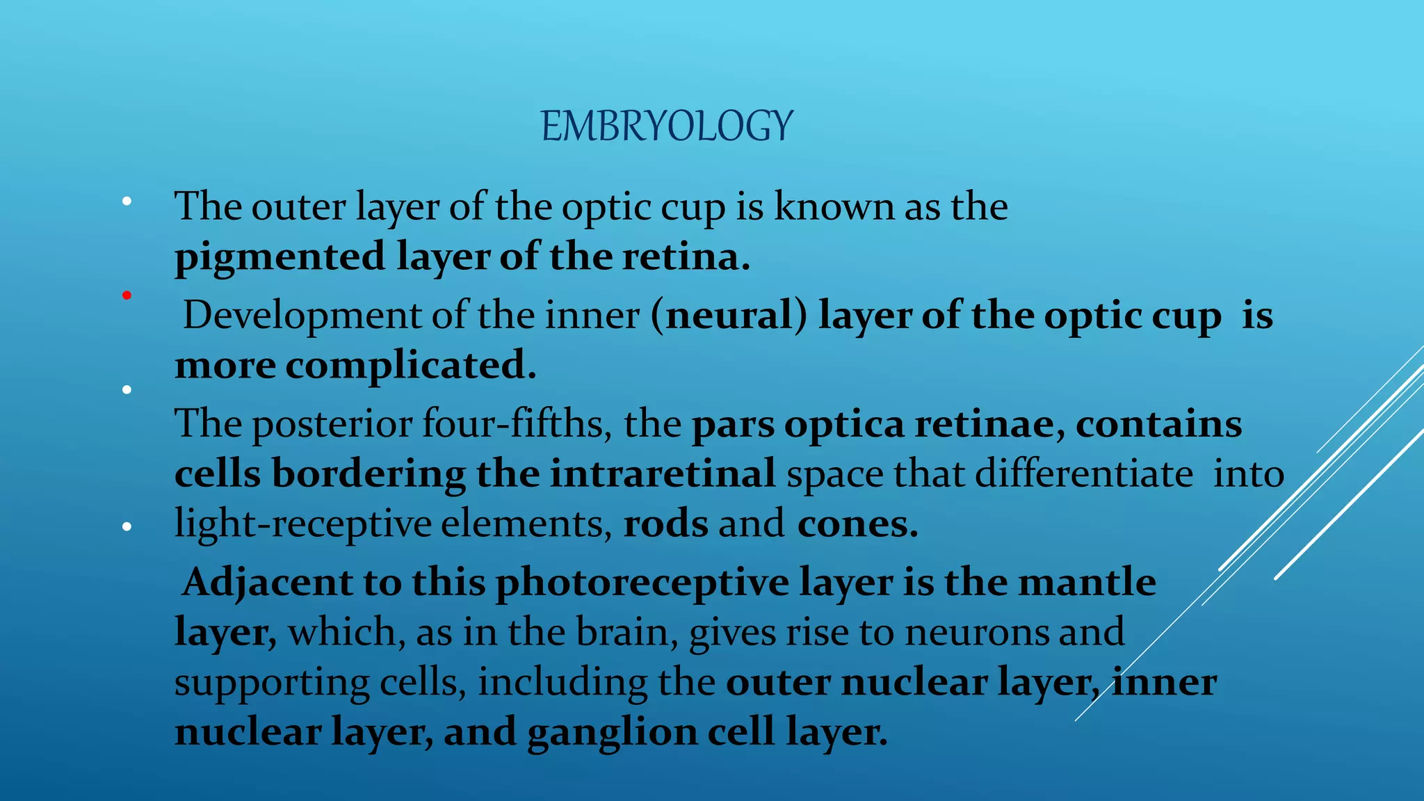 Anatomy of Retina | PPTX