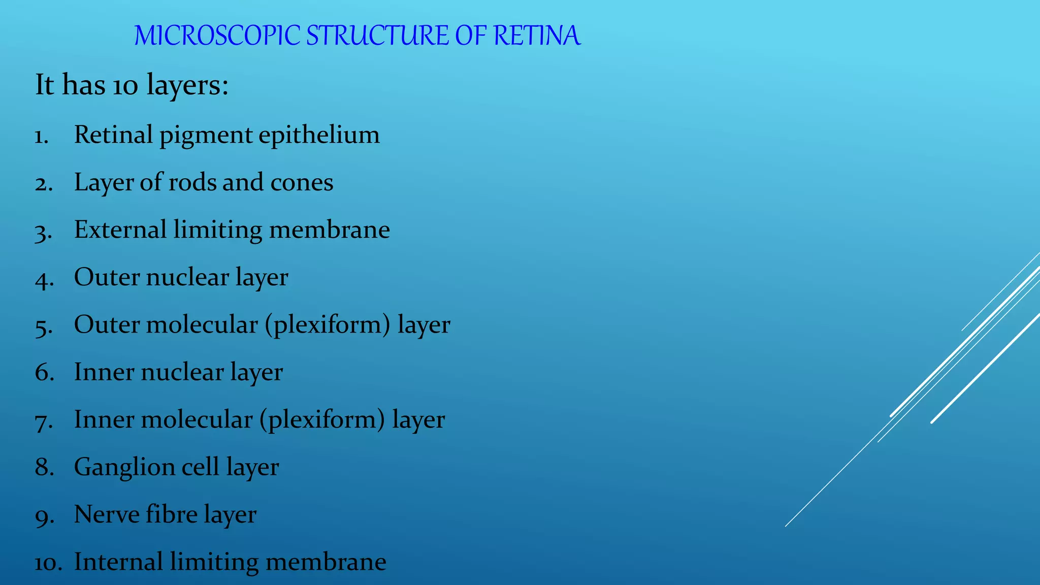 Anatomy of Retina | PPTX