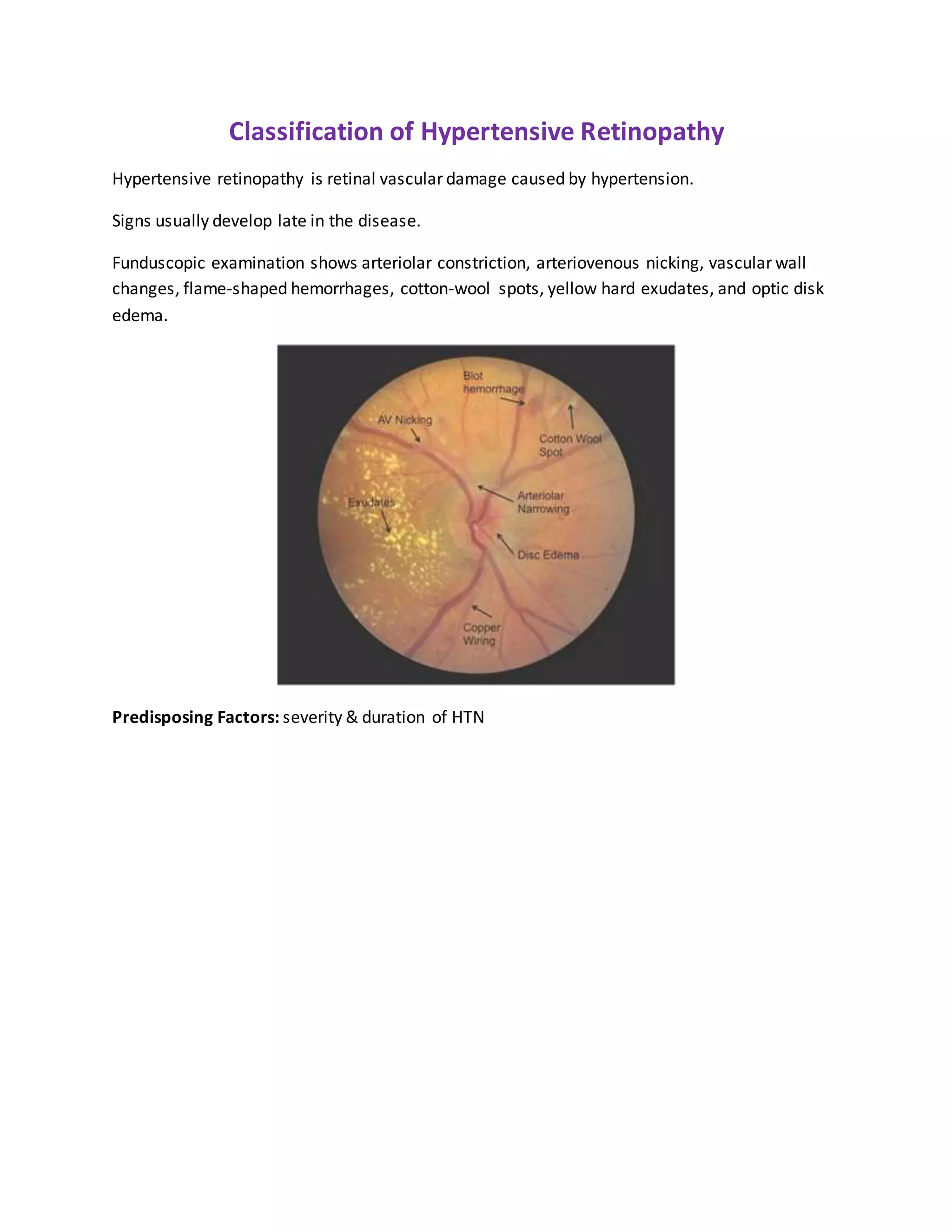 Retina (Define ,anatomy of retina, examination of retina ...