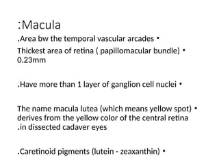 Retina-anatomy of the retina of the eye.pptx