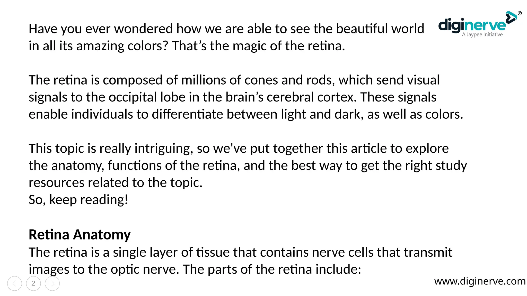Retina Anatomy and Its Functions_.presentaion | PPT