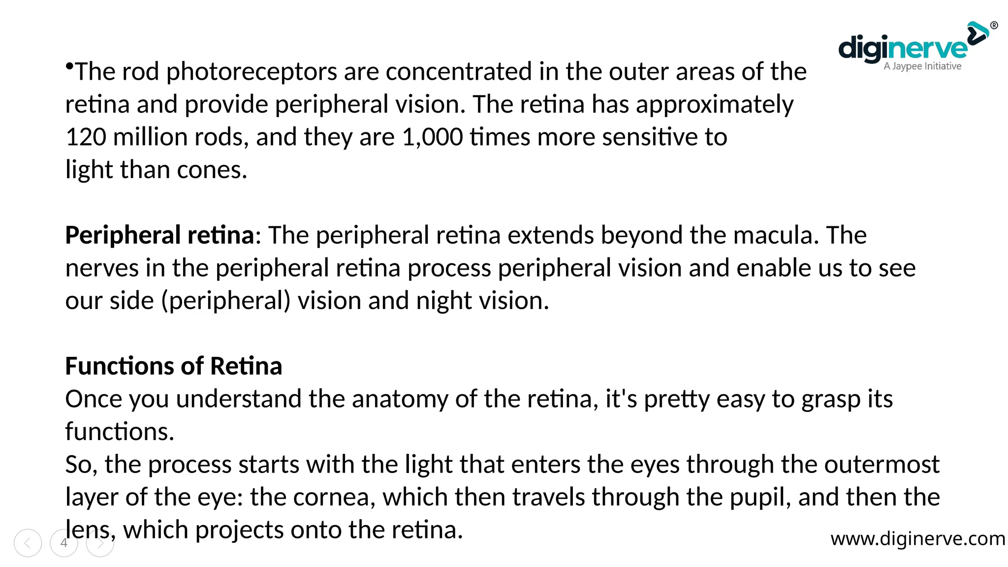 Retina Anatomy and Its Functions_.presentaion | PPT