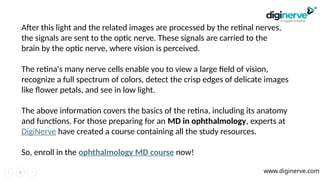 Retina Anatomy and Its Functions_.presentaion | PPTX