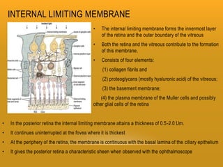 Retina and layers | PPTX