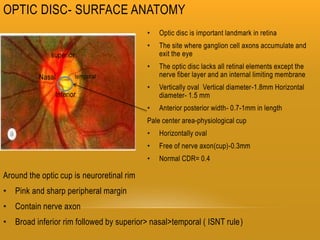 Retina and layers | PPTX