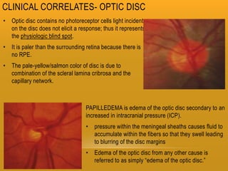 Retina and layers | PPTX
