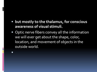 Retina and visual tract | PPTX