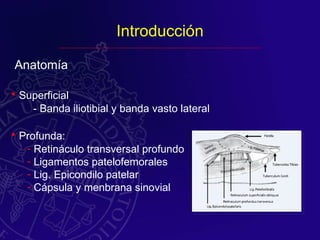 RetinaculotomíA Externa | PPT