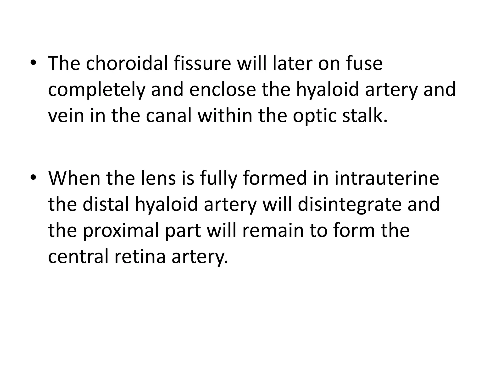 Retina embryology ppt | PPTX