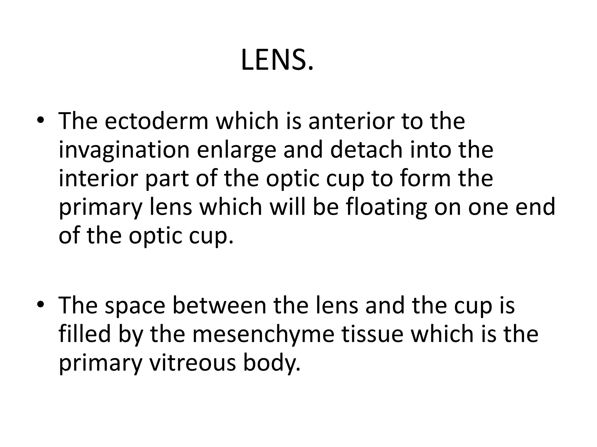 Retina embryology ppt | PPTX
