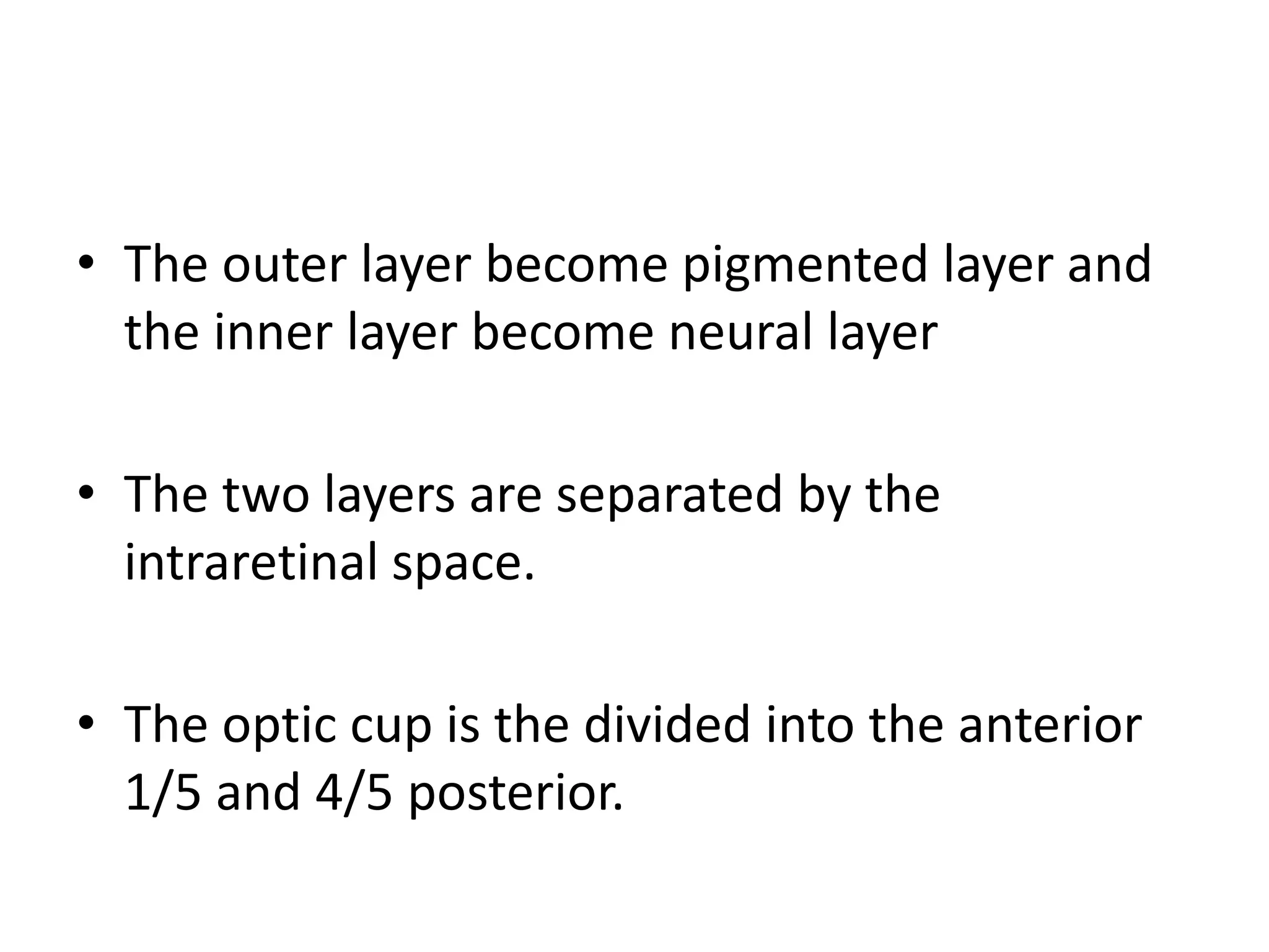 Retina embryology ppt | PPTX