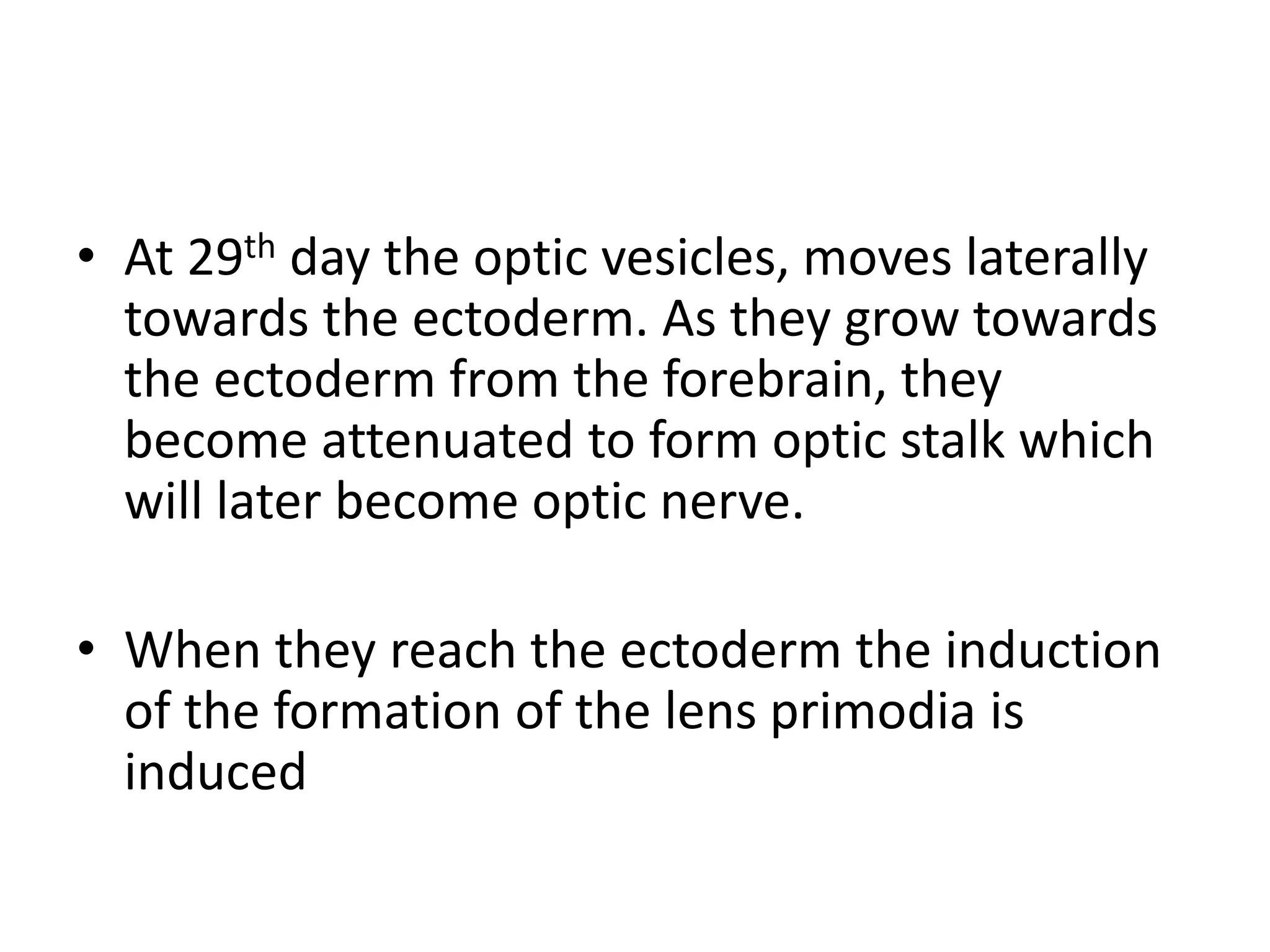 Retina embryology ppt | PPTX